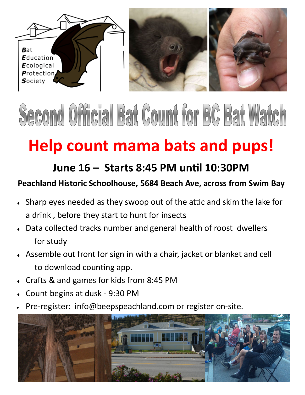 2nd Official Bat Count: June 16 NEW PUPS! – BEEPS
