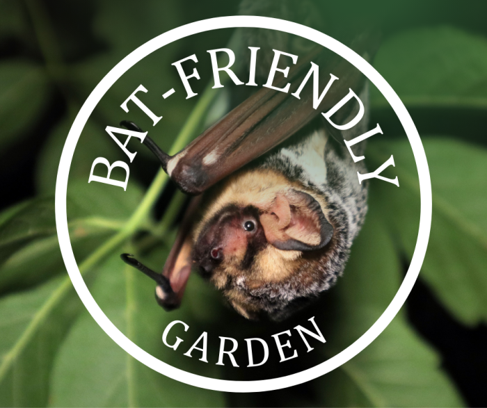 Library – beepspeachland.com